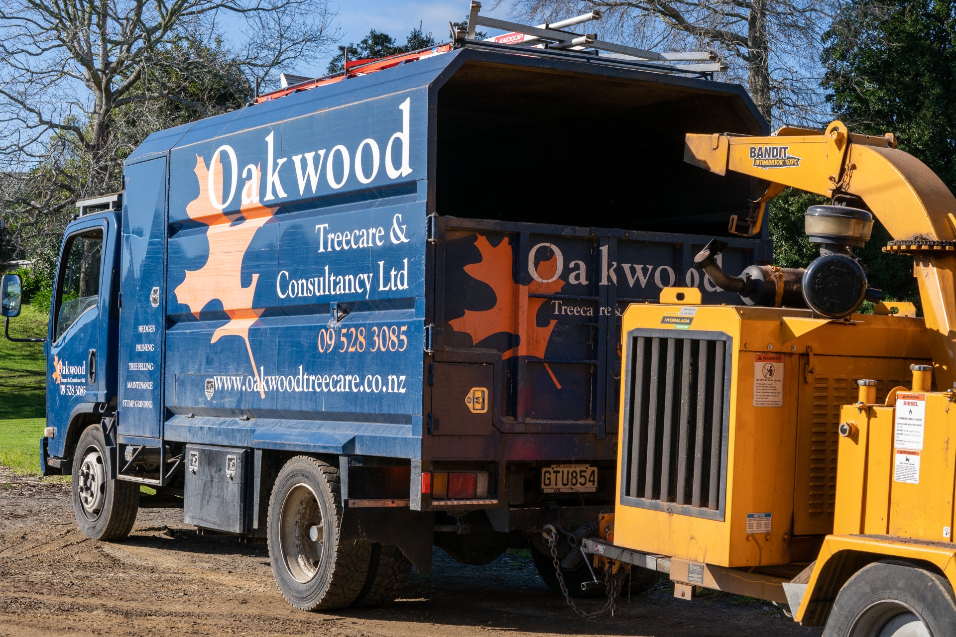FAQs - Tips for Tree Work in Auckland – Oakwood Treecare & Consultancy