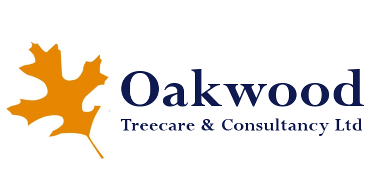 Professional Auckland Arborists. Arborist Tree Removal, Pruning Work ...